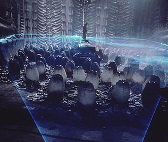 This strange little growth thing on my raspberry : r/whatisthisthing